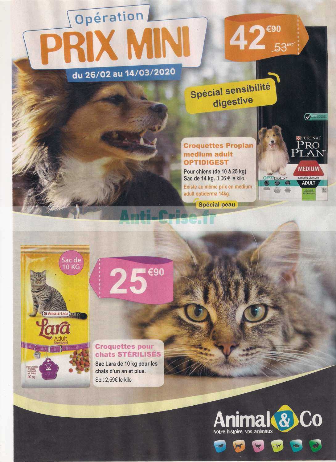 Anti-crise.fr | Catalogue Animal & Co du 26 février au 14 mars ...
