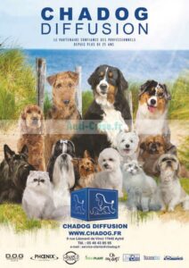 Anti-crise.fr | ArchivesLes catalogues Chadog Diffusion - Anti-crise.fr